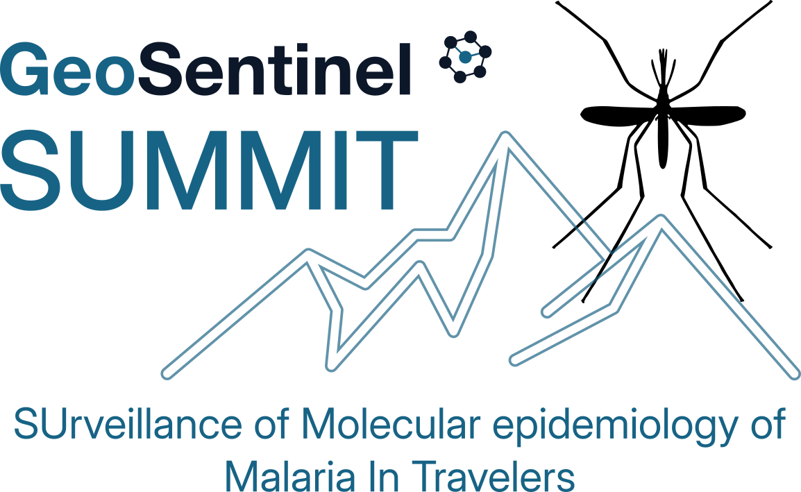 SUMMIT | Pieter Moris